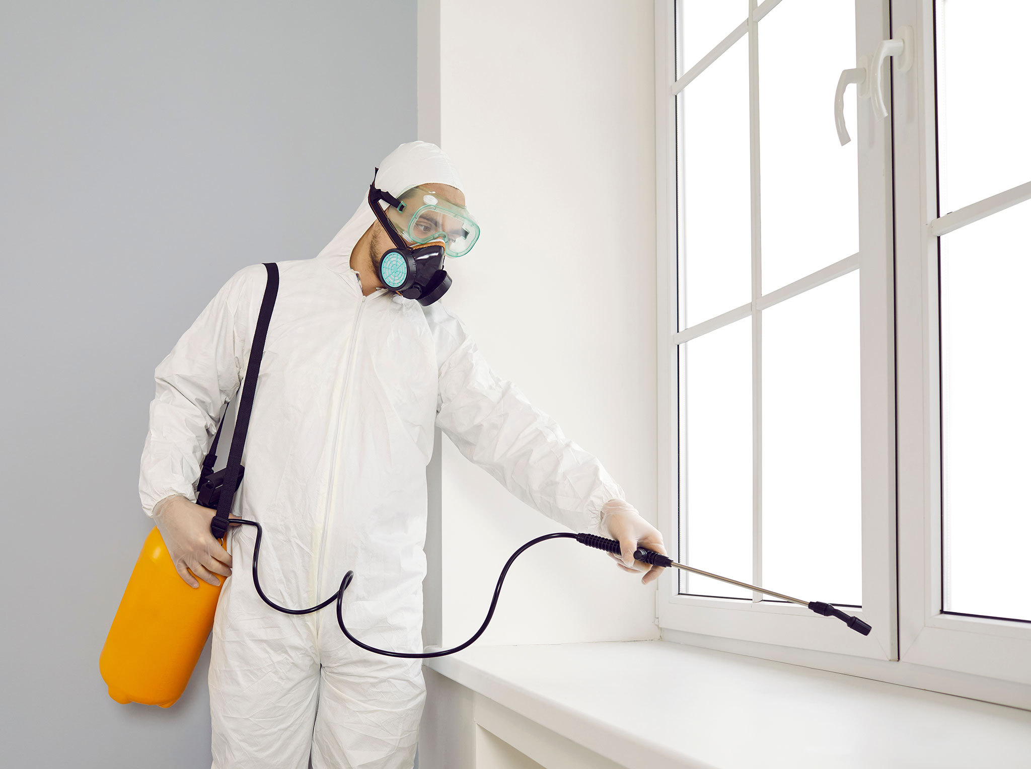 Comment choisir un exterminateur | Protégez-Vous.ca