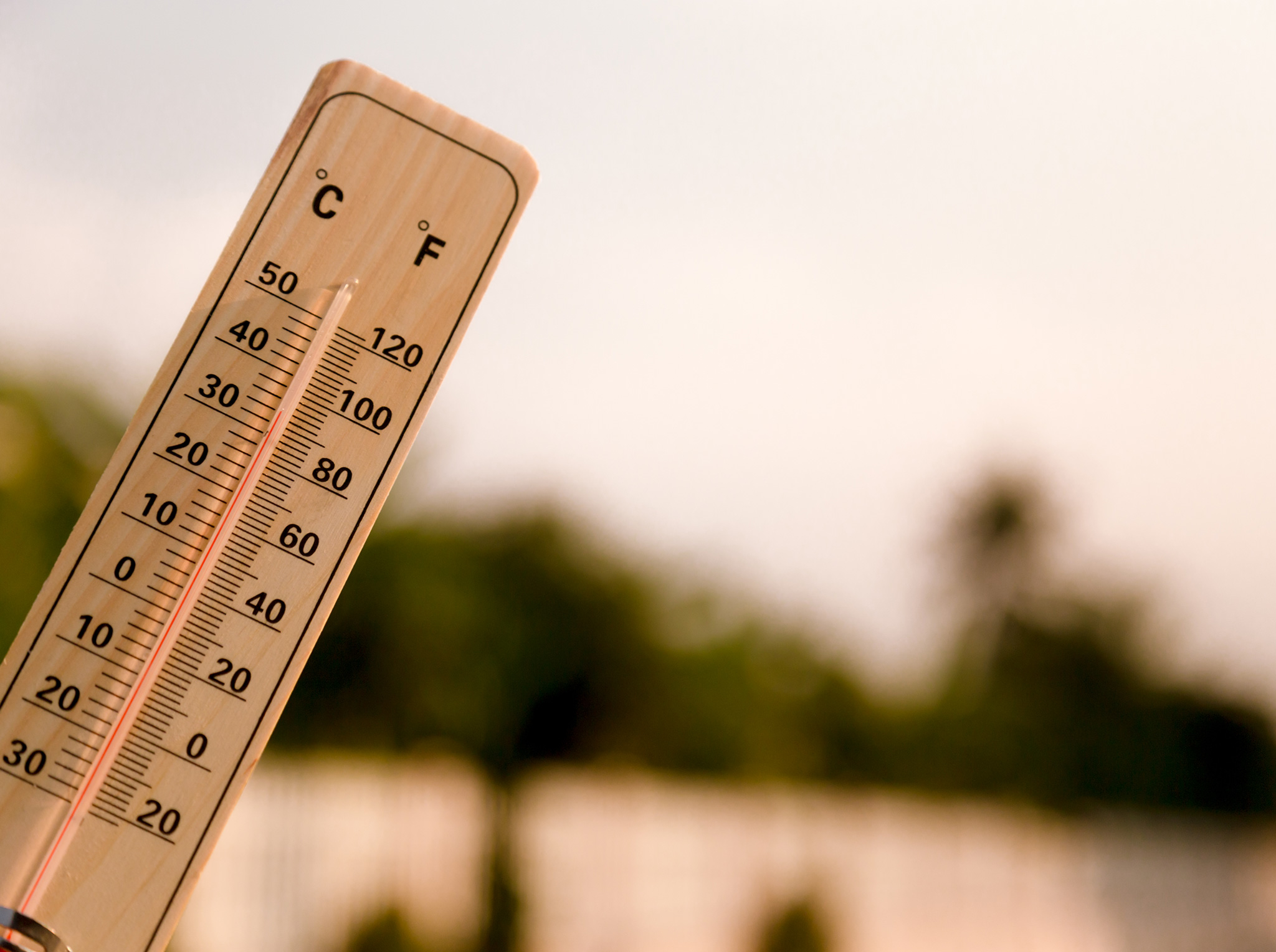Santé et canicule : comment se protéger des grosses chaleurs ...