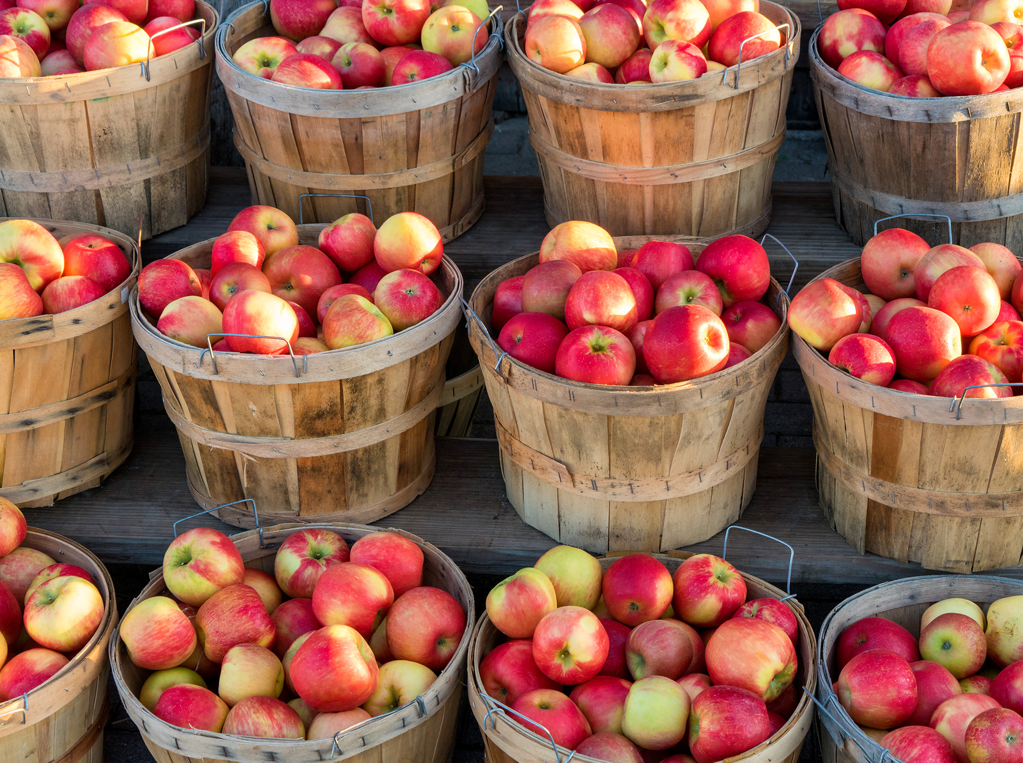 Saison des pommes : acheter au verger ou à l’épicerie ? | Protégez-Vous.ca