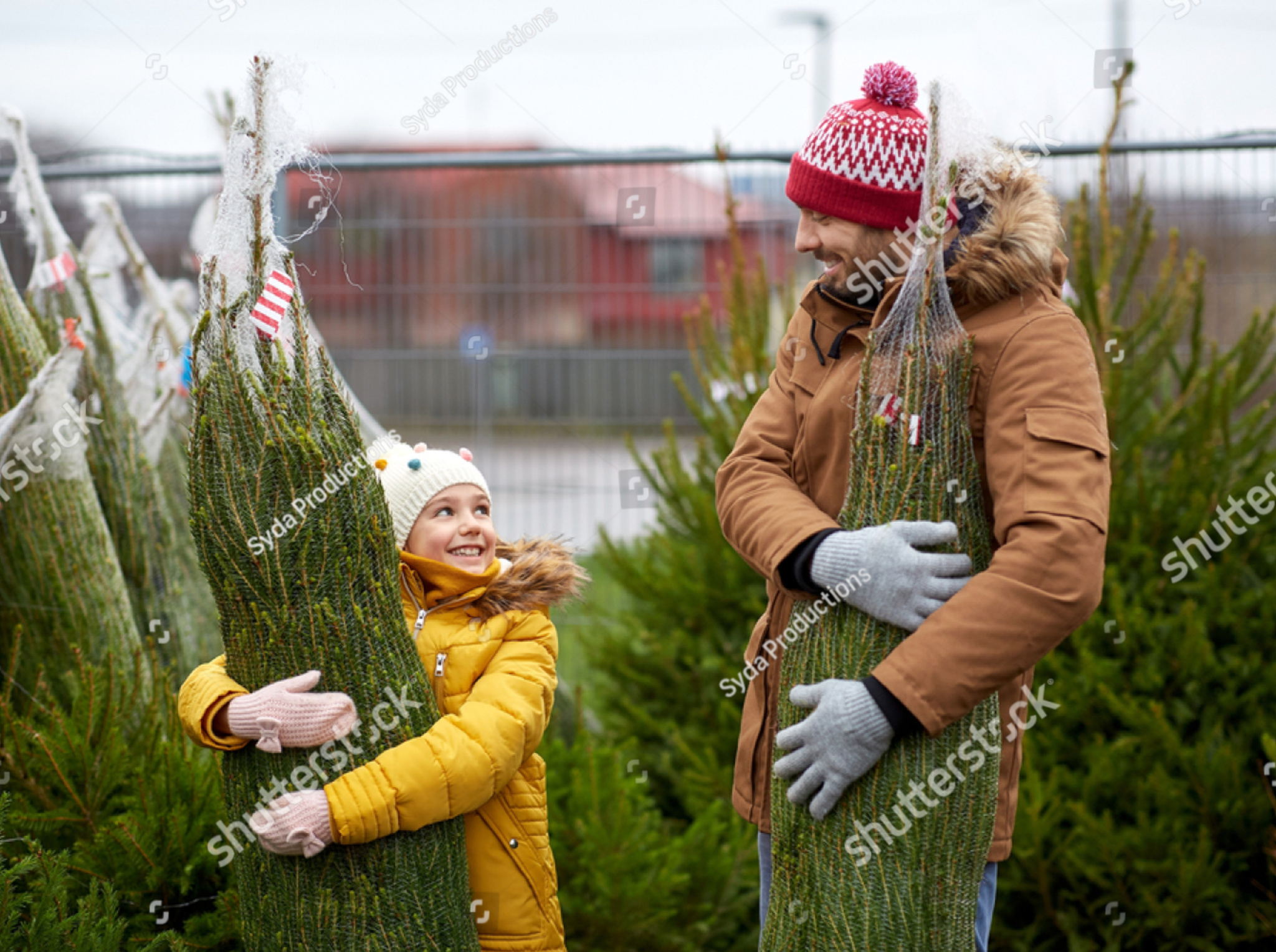 Eh oui ! Il est temps de réserver votre sapin de Noël en ligne | Protégez-Vous.ca