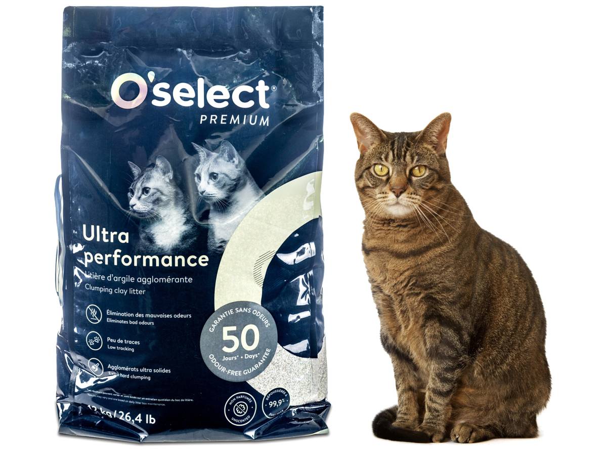 O’SELECT Premium Ultra performance Litière d'argile agglomérante ...