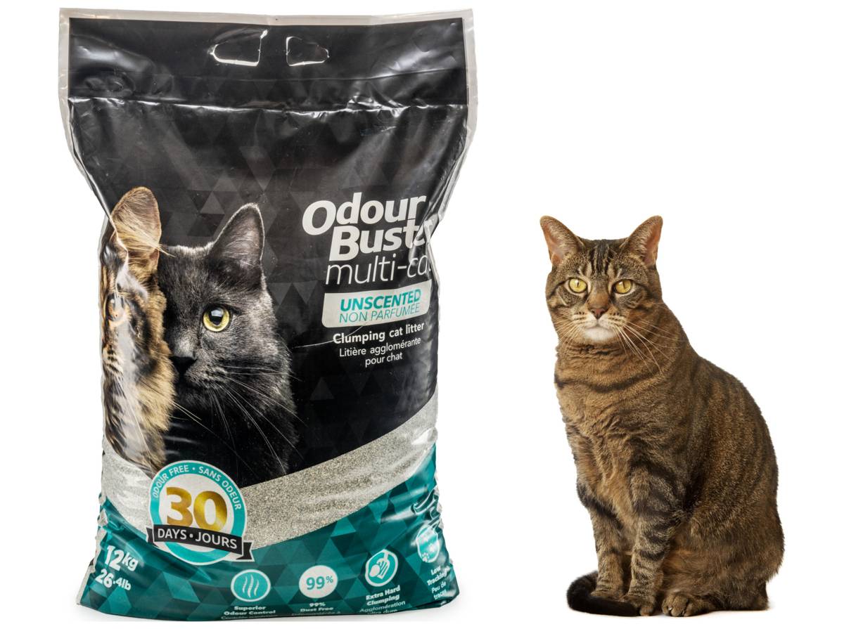 ODOUR BUSTER Multi-cat non parfumée Litière agglomérante pour chat ...