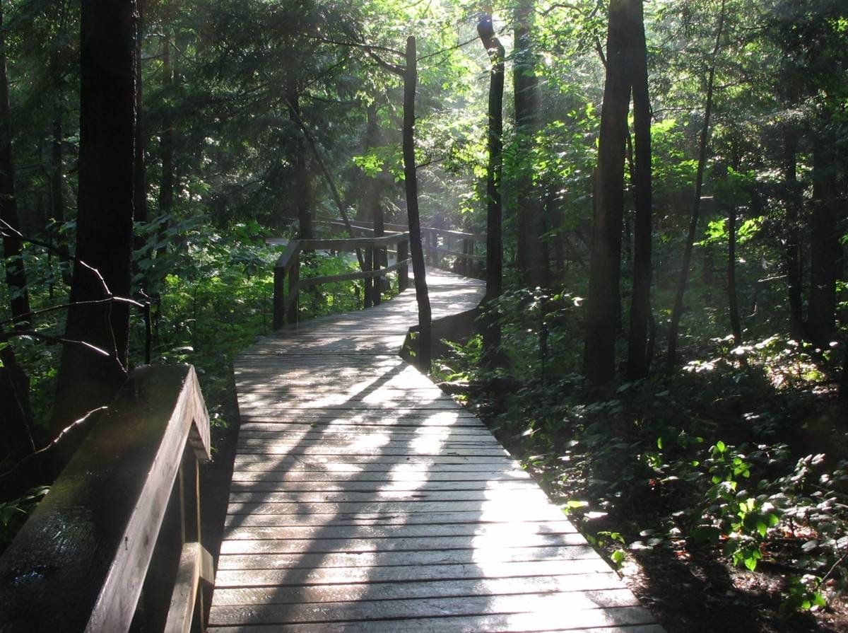 Centre de la Nature Mont Saint-Hilaire (Réserve naturelle Gault ...