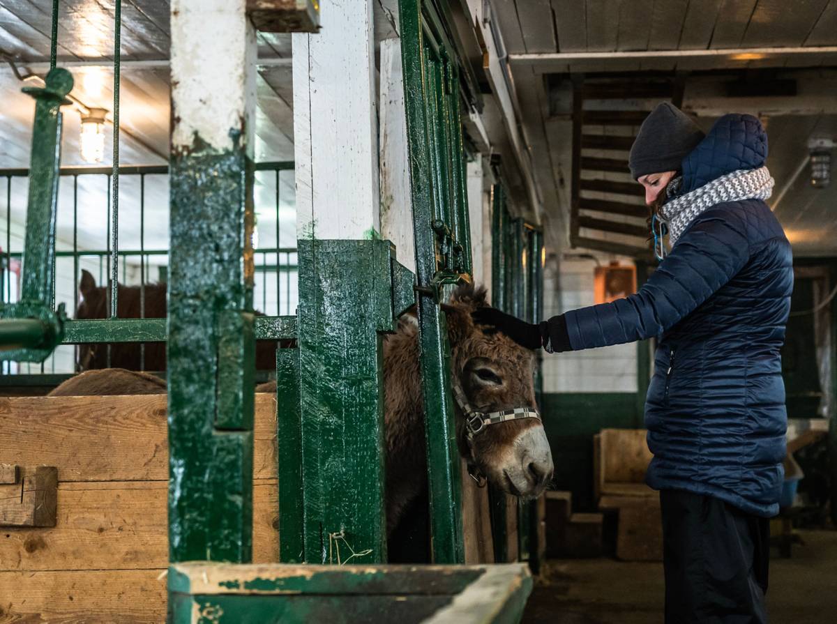Parc-nature du Cap-Saint-Jacques | Protégez-Vous.ca