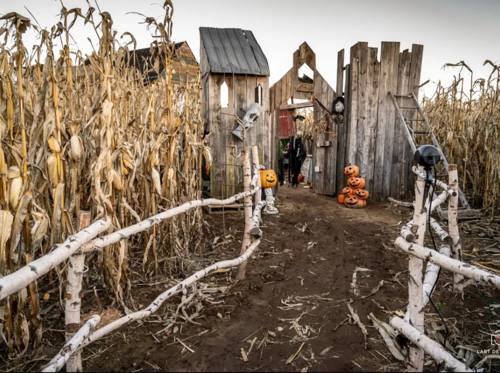 Halloween : 12 sorties amusantes ou effrayantes en famille | Protégez ...