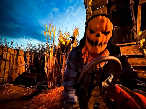 Halloween : 12 sorties amusantes ou effrayantes en famille | Protégez ...